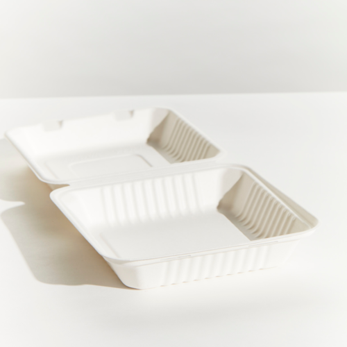 Sugarcane Dinner Boxes Large White 238x233mm - Eco-Friendly Meal Boxes ...